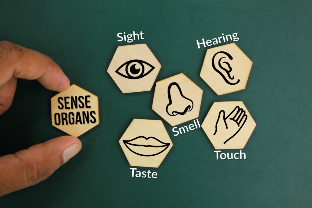 Sensory Research: How It Works and Why It Matters | Eastcoast Research